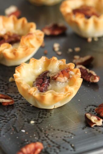 Pecan Brie and Brown Sugar Phyllo Bites - The Suburban Soapbox
