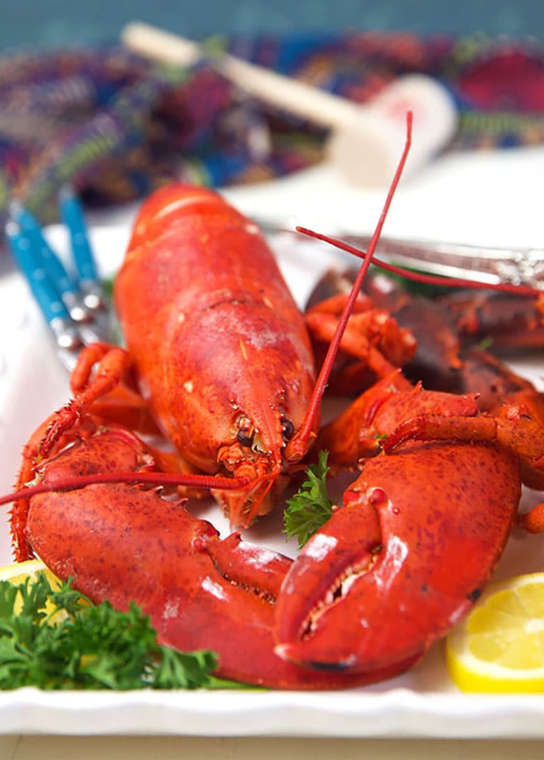 How to Cook Lobster - The Suburban Soapbox