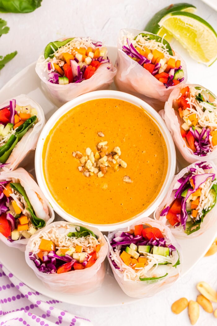 Easy Shrimp Summer Rolls - The Suburban Soapbox