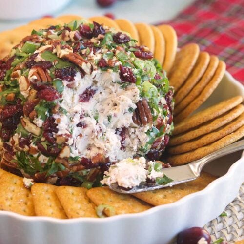 Cranberry Pecan Cheese Ball - The Suburban Soapbox