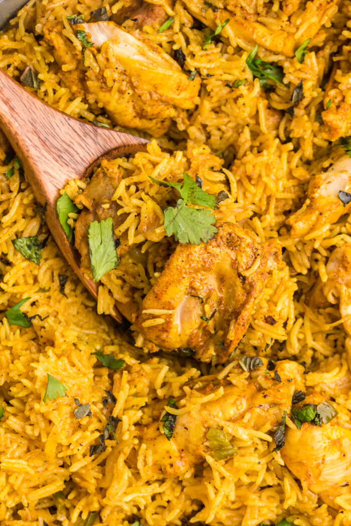 Chicken Biryani - The Suburban Soapbox