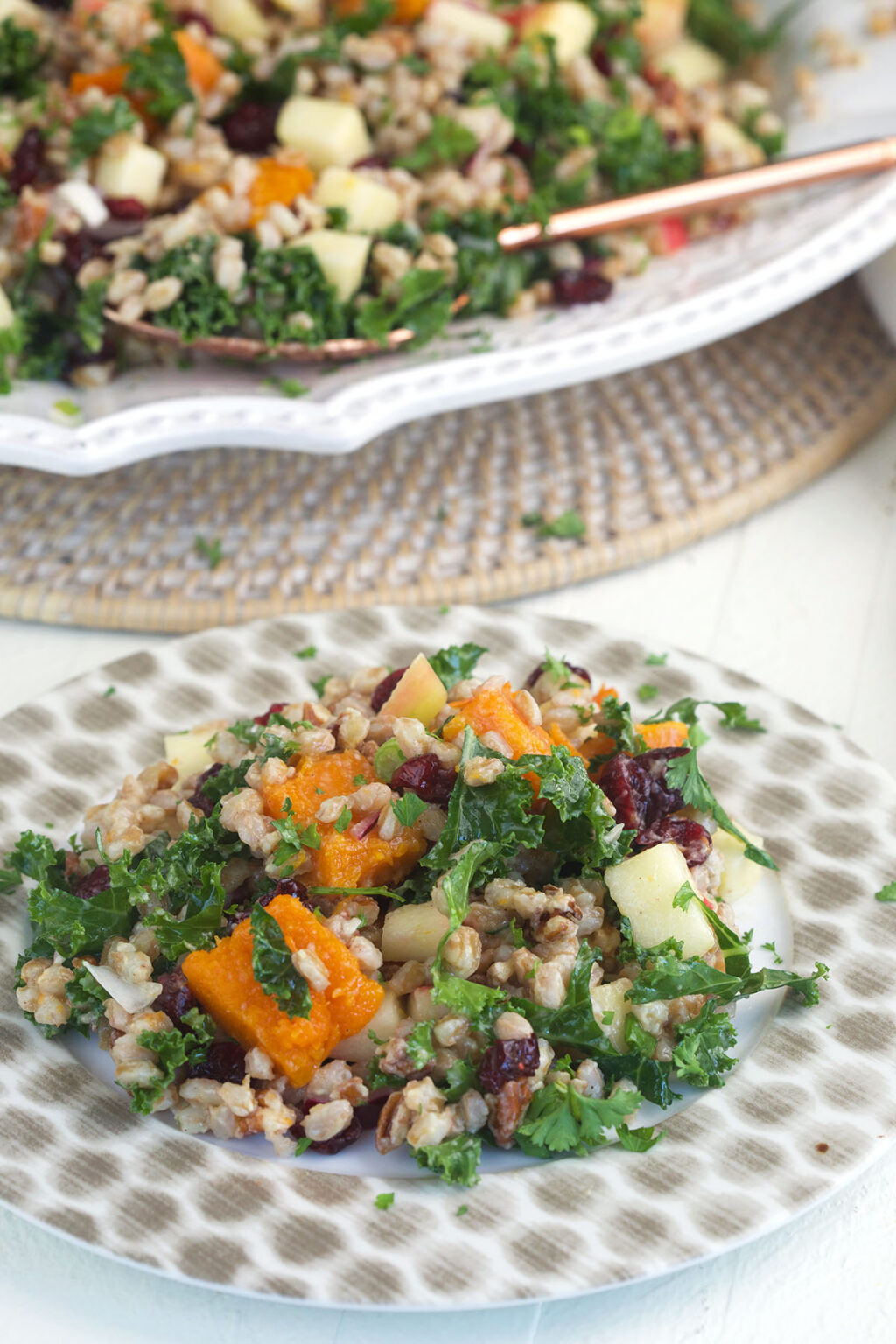 Autumn Farro Salad - The Suburban Soapbox